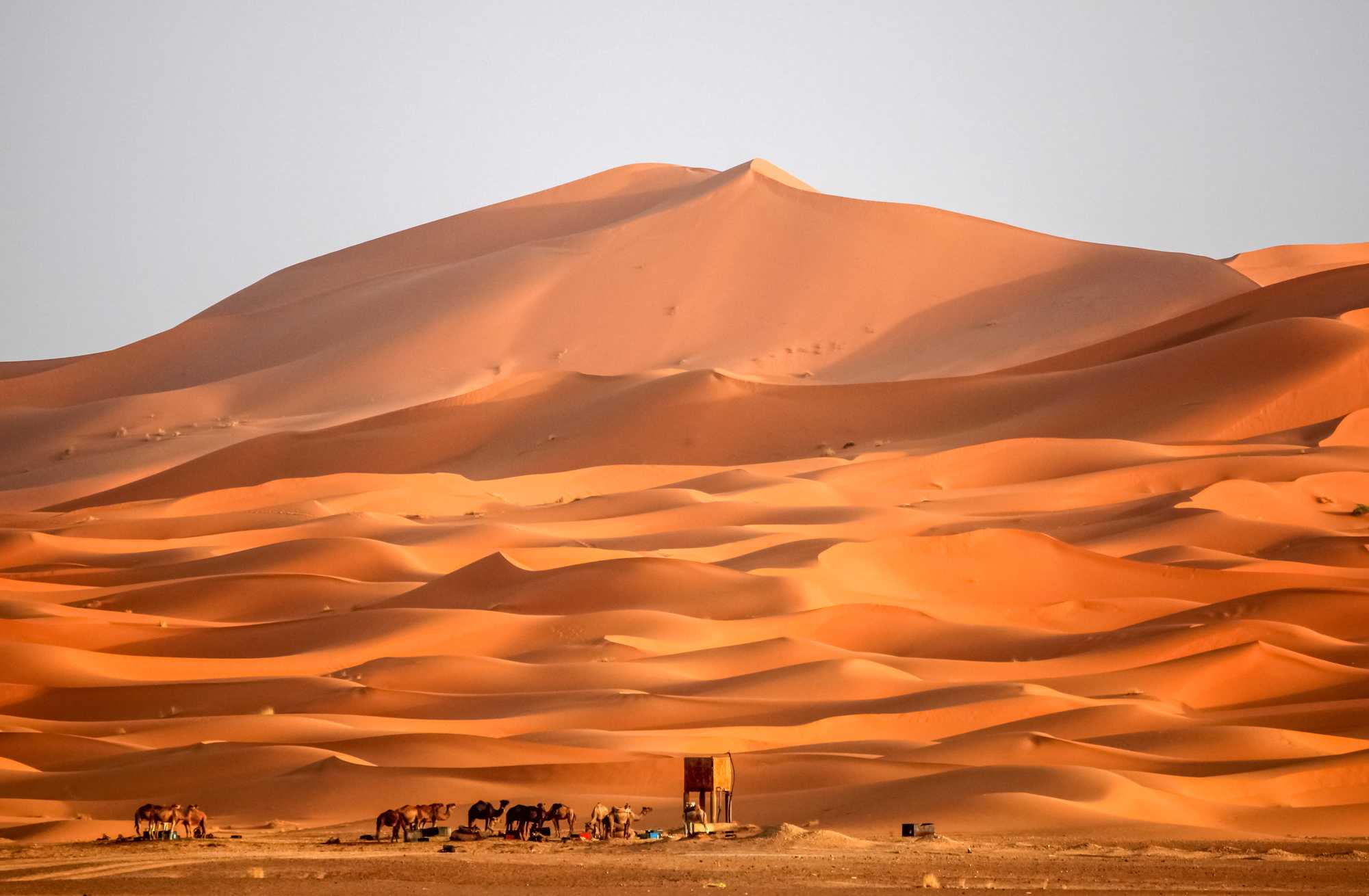 Home - Merzouga Dunes